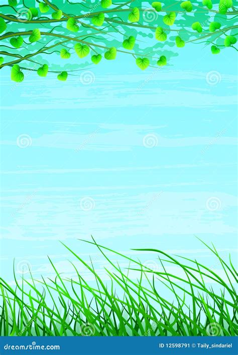 Grassy Floral Natural Background Stock Vector Illustration Of Park