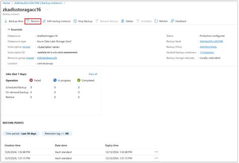 Restauración De Azure Data Lake Storage Mediante Azure Portal Versión