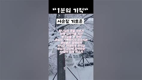 사순절 기도문십자가의 고난에 동참하는 특별한 묵상과 기도🙏 Youtube