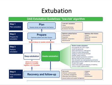 Extubation Is Risky Business Why The Conclusion Of General Anesthesia Can Be A Critical Event