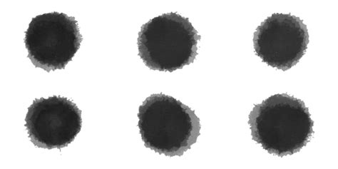 검은색 브러시 얼룩 세트 프리미엄 벡터