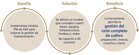 Maverick Consultants