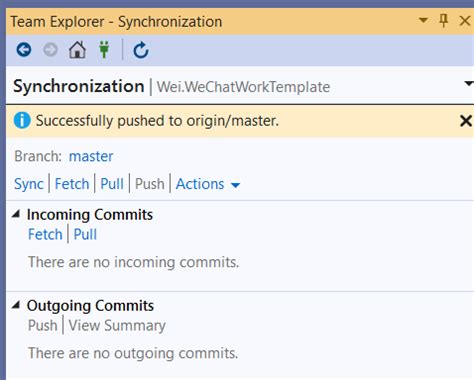 Visual Studio 2019 VS2019 Error Encountered While Pushing To The