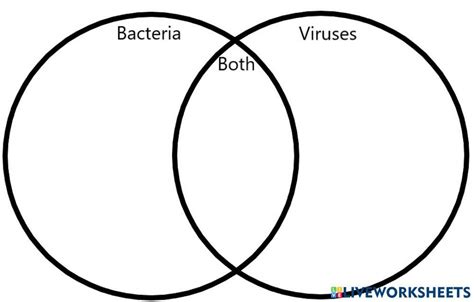 Bacteria Vs Virus Online Exercise For Live Worksheets