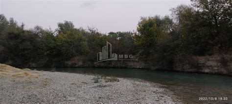 იყიდება მიწის ნაკვეთი ქვემო ბოდბე სიღნაღი კახეთი