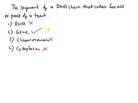 Solved What Is The Segment Of A Dna Chain That Codes For All Or Part Of A Trait O A Rna O B