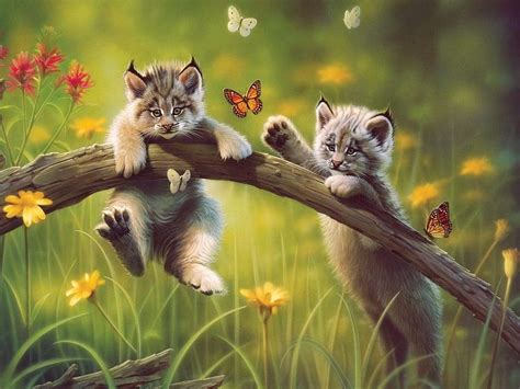 Cute Hd Wallpaper For Android