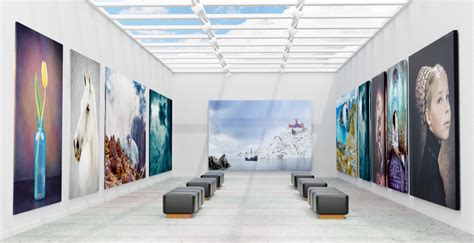 Canvas Per Plotter Il Supporto Artistico Di Grande Formato Diatecx