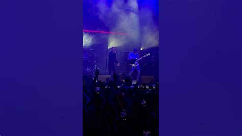 آهنگ جزیره از سیاوش قمیشی در آخرین کنسرت استانبول Full Hd Youtube