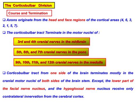 Pyramidal Extrapyramidal Pathways Ppt