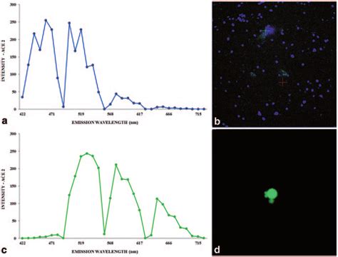 4 A Emission Spectrum Of Capsaicin From 400 To 550 Nm B Crystals Of