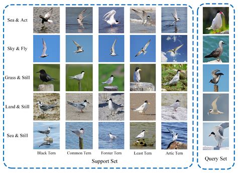 Few Shot Fine Grained Image Classification With Residual Reconstruction