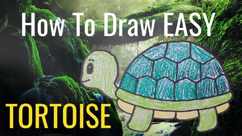 How To Draw EASY TORTOISE YouTube