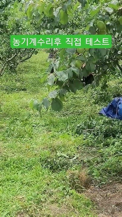 농업용운반차 수리 후 직접테스트농기계농기계구입농기계전문채널농기계보조사업엔테크청년ceo농기계수리 Youtube