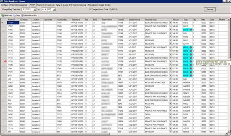 Data Analyzer Medusa Healthcare Services