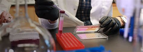 Medical Research Funding Grant Process