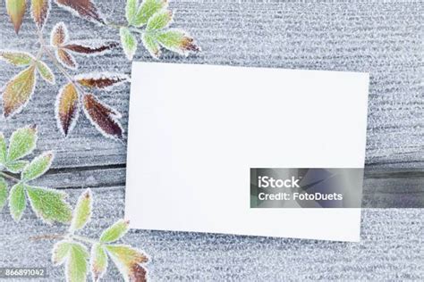 얼음 화이트 빈 인사말 카드 나무 보드에 냉동 화려한 단풍 휴일 게시물에 대 한 카드 좋은 분위기 계절에 대 한 모의 광고로