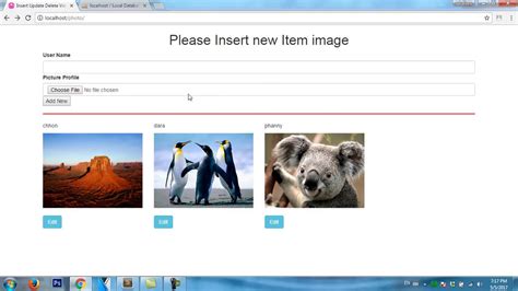 PHP MySQL PDO How To Edit Image And Data With Php PDO YouTube