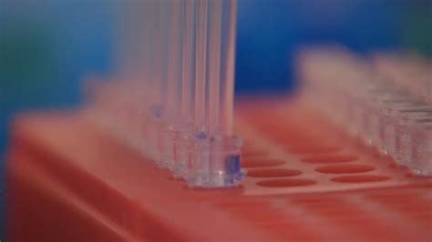 Creating Dna From Scratch In A Lab The Big Idea Genetic Frontiers