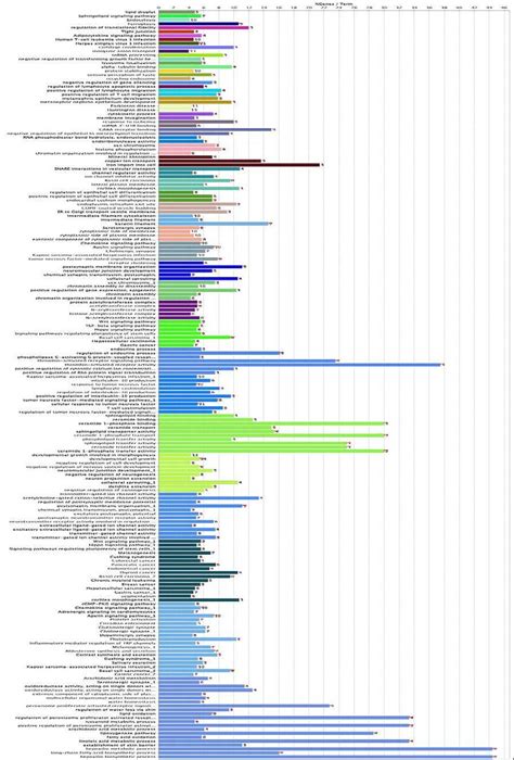 Functional Annotation Groups For Genes Associated With Running Speed Download Scientific