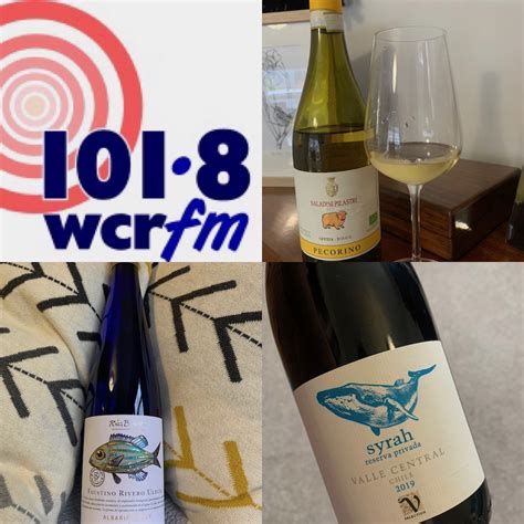 Animal Wine Labels Tomelier