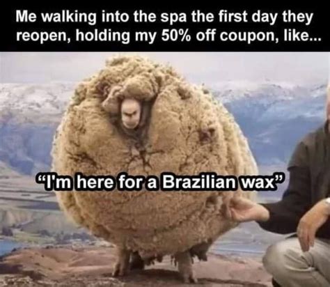 Pin By Emily Kellum On Esthetician Vibes Morning Humor Funny Memes