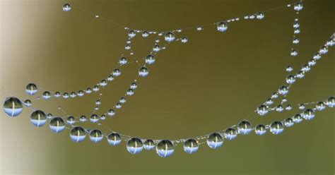 Supermax Corp Receives Product Licence For Contact Lenses In Japan New Straits Times