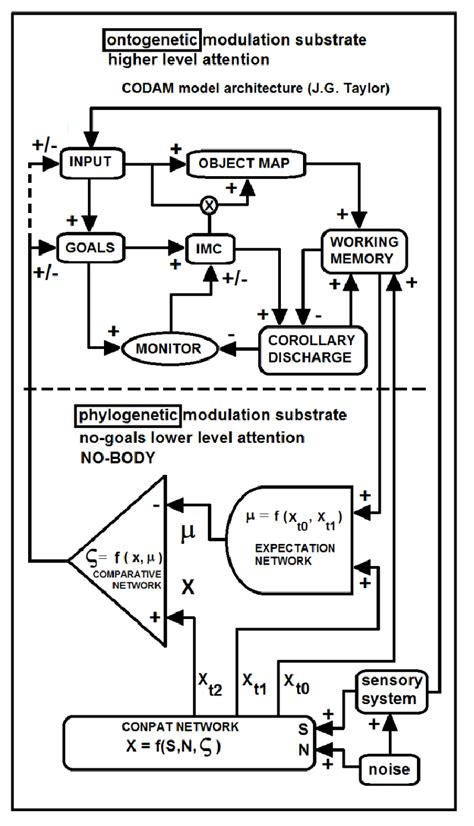 The Codam Neural Network Is Viewed Together With The No Body Neural Download Scientific Diagram