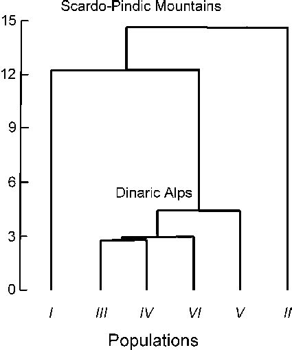 dendrogram obtained by cluster analysis based on the nearest neighbor