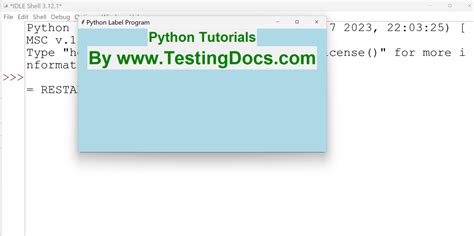Python Label Widget TestingDocs