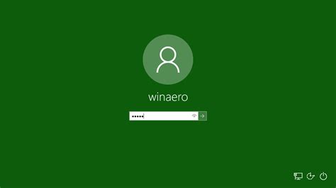 Disable Password Reveal Button In Windows