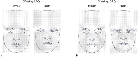 The Morphometrics Of Masculinity In Human Faces PMC