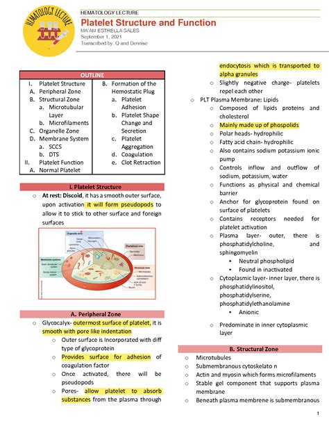 Platelets Function