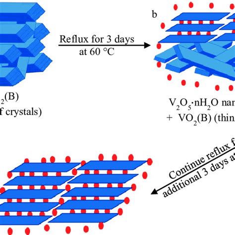 1 Structure Model For V2O5nH2O Viewed Along The 010 Direction Download Scientific Diagram