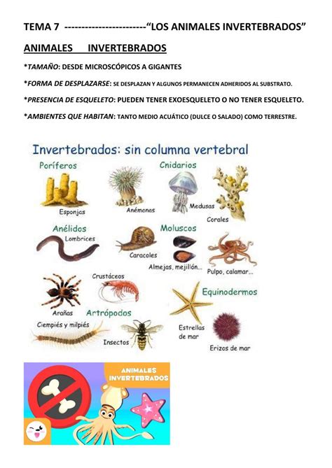 Ficha Online De Animales Invertebrados Para PedagogÍa TerapÉutica