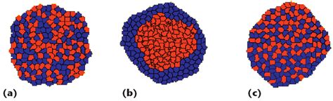 Cell Sorting Starting From A A Randomly Mixed Two Cell Type Download Scientific Diagram