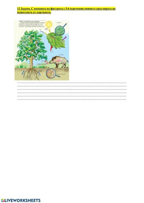Жизнени процеси в организмите Worksheet Live Worksheets