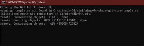 windows 安装 git bash 增强版（git sdk 安装和配置） 一灰