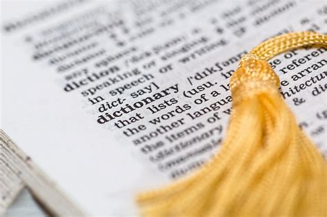 How I Built An English Dictionary App With Django Be On The Right Side Of Change