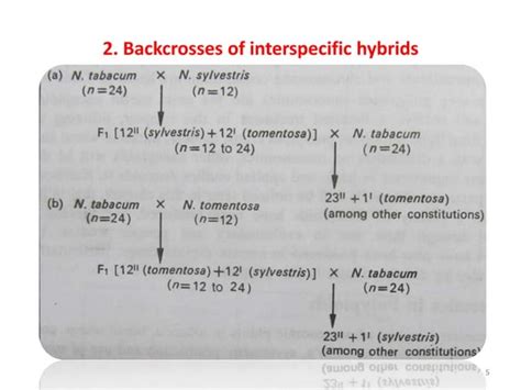 Monosomics Pptx Genetics Science