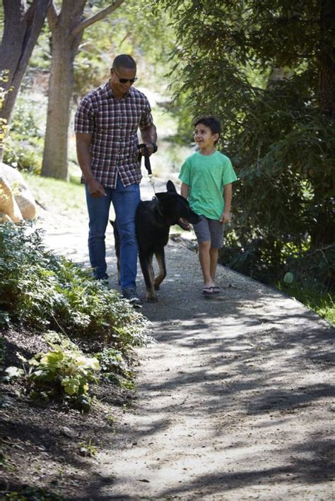 Behavior Modification Gold Coast K9