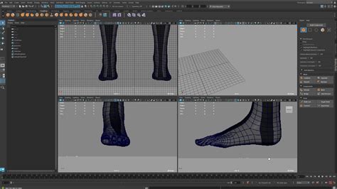 Foot Modeling 1