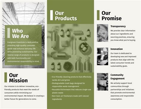 Consumer Company Brochure Template Visme