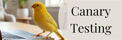 What Is Canary Testing And How It Works The Pm Professional