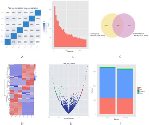 Comprehensive Circular Rna Expression Profile In Radiation Treated Hela Cells And Analysis Of