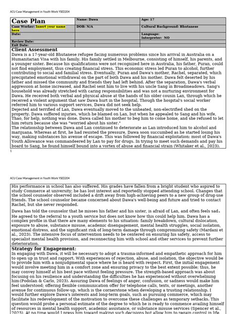 Case Management For Refugee Youth Dawa Pdf Mental Health