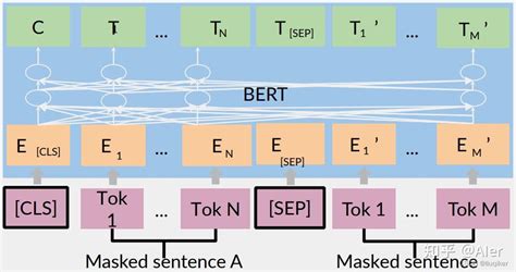 Bert(transformer Encoder)详解和tensorflow实现(附源码) 知乎 Bert(transformer Encoder)详解和tensorflow实现(附源码) 知乎