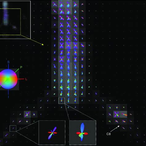 The Diffusion Odf Obtained From Q Sampling Imaging A The Odf Map Download Scientific