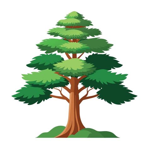 Cedar Tree Isolated Flat Vector Illustration 39844671 Vector Art At