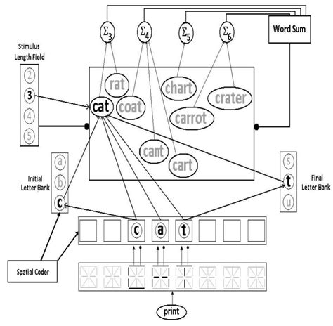 The Spatial Coding Model Figure Depicts Some Of The Nodes